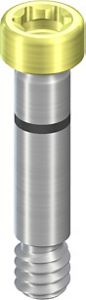 NC Basal screw, for ceramic abutment only - TAN | Straumann Group ...
