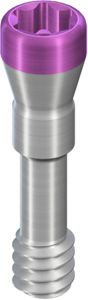RC Basal Screw, for Cementable Abutment only, TAN | Straumann Group ...