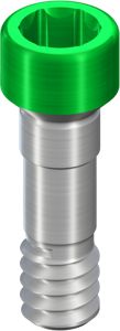 NT/RT/WT Basal Screw AS - TAN | Straumann Group - Straumann United ...