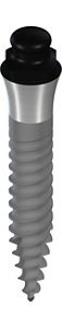 Mini Implant Ø 2.4mm, GH 2.8mm, SLA®, ADLC, 12mm, Roxolid® | Straumann ...