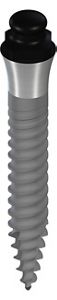Mini Implant Ø 2.4mm, GH 2.8mm, SLA®, ADLC, 14mm, Roxolid® | Straumann ...