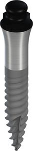 Straumann® Mini Implant, Ø 2.4mm, GH 4.8mm, SLA®, 10mm, ADLC, Roxolid ...