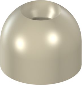 Octa Protective Cap, H 4mm, PEEK | Straumann Group - Straumann Australia