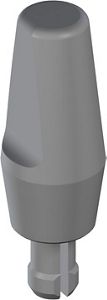 RN PLAN Solid Abutment, H 5.5mm, POM | Straumann Group - Straumann USA