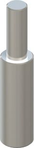 Stepped pin for 049.810 - Ø 2.2mm/3.5mm, L 16mm, Ti | Straumann Group ...