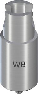 WB Pre-milled Abutment Blank, for CARES®, Ø 12mm, TAN | Straumann Group ...