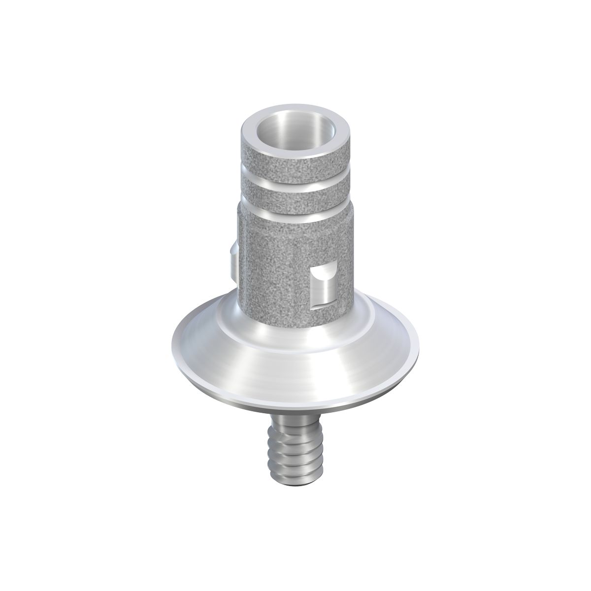 WT Variobase® XC para prótese fixa múltipla/prótese protocolo, incl ...