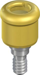 NT LOCATOR® Abutment, H 2mm, coated Ti alloy | Straumann Group ...