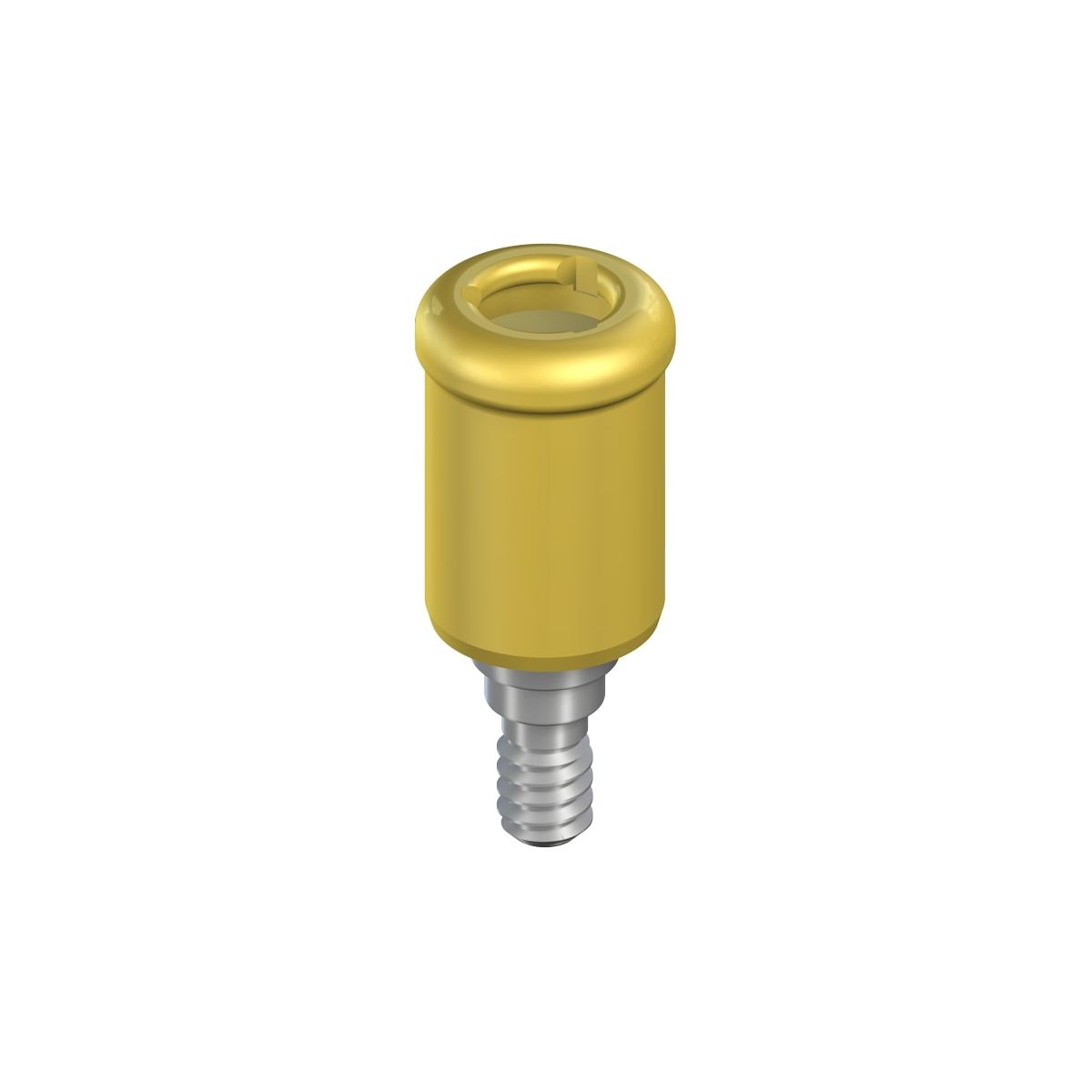 NT LOCATOR® Abutment, H 4mm, coated Ti alloy | Straumann Group ...