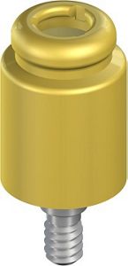 RT LOCATOR® Abutment, H 5mm, coated Ti alloy | Straumann Group ...