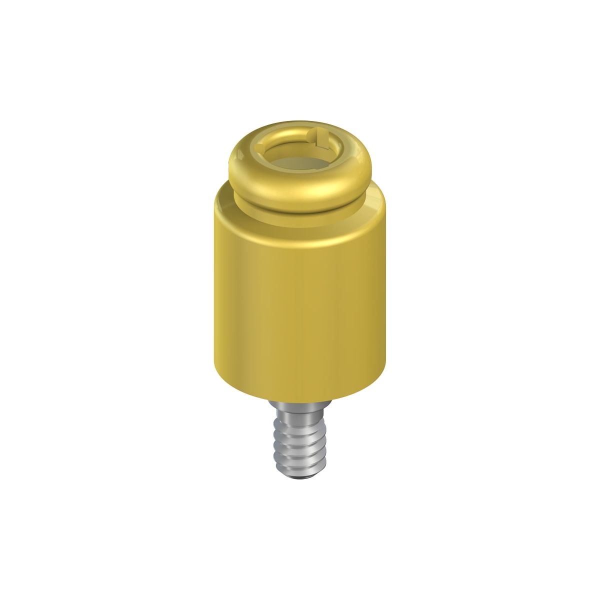 RT LOCATOR® Abutment, H 5mm, coated Ti alloy | Straumann Group ...