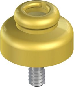 WT LOCATOR Abutment,H2,Ti alloy | Straumann Group - Straumann USA