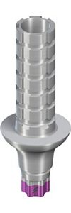 RB/WB Temporary Abutment, for crown, Ø 6mm, GH 2.5mm, TAN | Straumann ...
