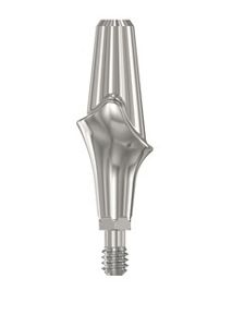 CM Exact Anatomic Abutment, Titanium, 2.5 mm | Straumann Group ...