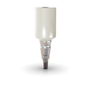 GM Pro Peek Abutment, Titanium/Peek, 6.0X2.5 mm | Straumann Group ...