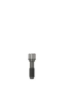 Neotorque Screw, Titanium, 3.3 mm | Straumann Group - Neodent USA