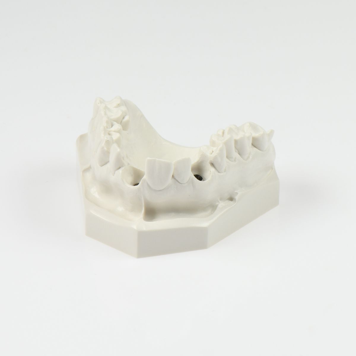 Prosthetic model upper jaw, for temporary restoration | Straumann Group ...