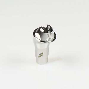 RC Screw-retained Abutment 17° Gen4, 5:1 Model | Straumann Group ...