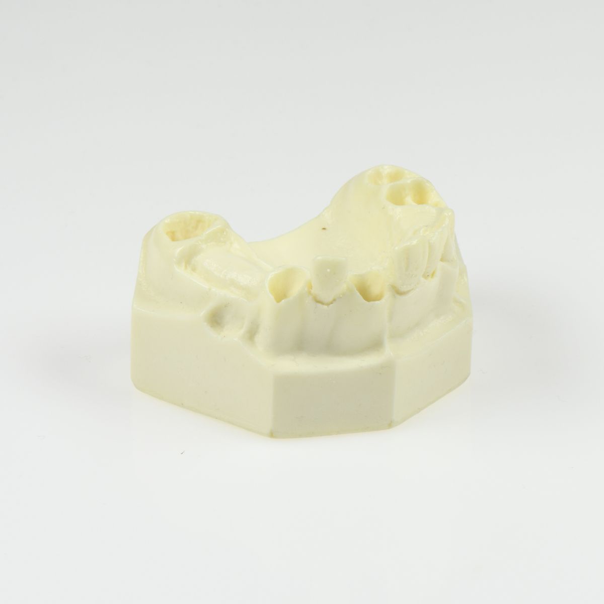 TLX/BLX Surgical Model, Maxilla | Straumann Group - Straumann México