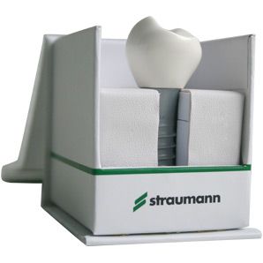 3:1 implant illustration in a box | Straumann Group - Straumann Italia
