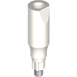 CARES® NT/RT/WT Mono-Scankörper | Straumann Group - Straumann Schweiz