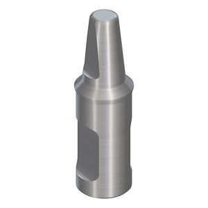 RN Analog for Solid Abutment | Straumann Group - Straumann にほん
