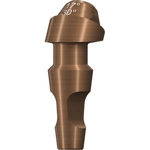 Analog for Screw-retained Abutments, angled | Straumann Group ...