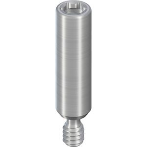 Lab Processing Screw for Screw-retained Abutments | Straumann Group ...