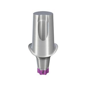RB/WB Anatomic Abutment | Straumann Group - Straumann USA