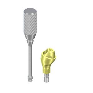 NC Screw-retained Abutment, 17° | Straumann Group - Straumann USA