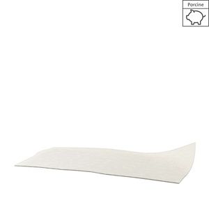 Jason® membrane 20x30mm, Pericardium Collagene Membrane, 10 pieces, non ...