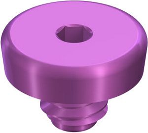 Cover Screw for Zygomatic Implants for Ø4mm Ex Hex, Ti | Straumann ...