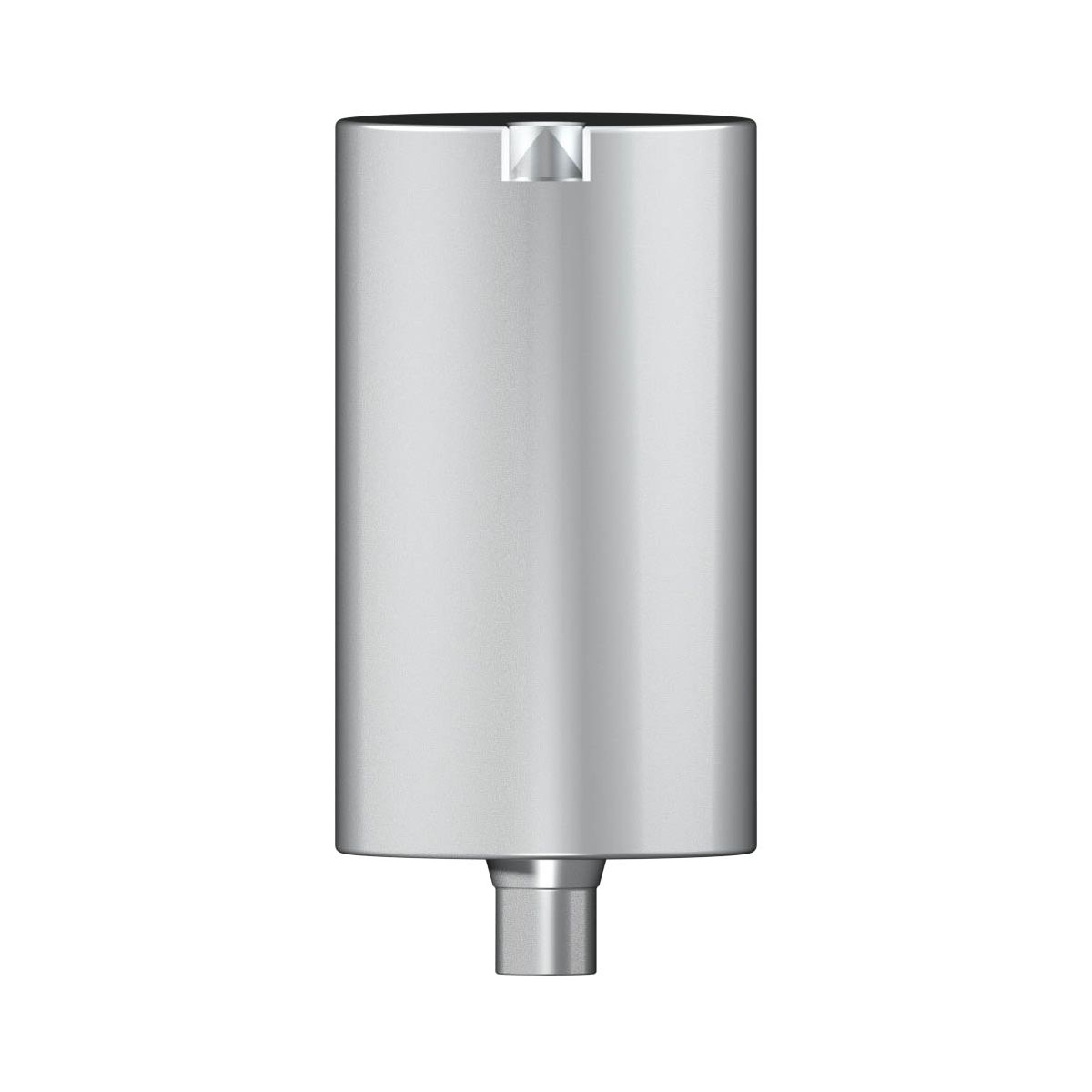 PreFace abutment / Specimen PreFace abutment holder | Straumann Group ...