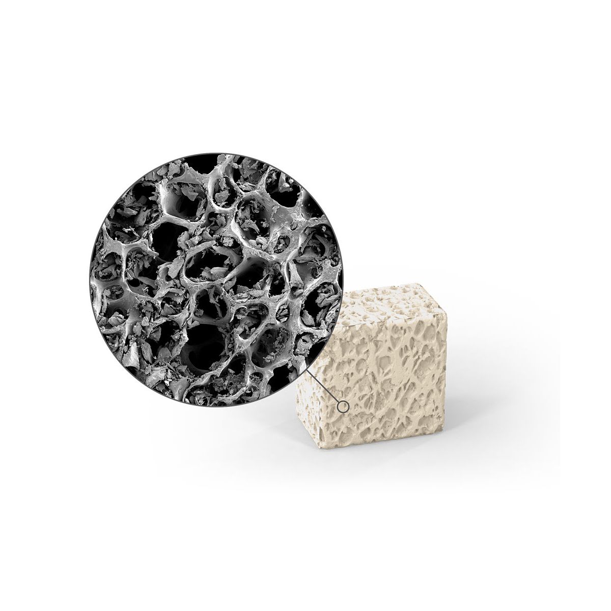 Straumann® XenoFlex, 6x6x6mm, 100mg, Demo Material | Straumann Group ...