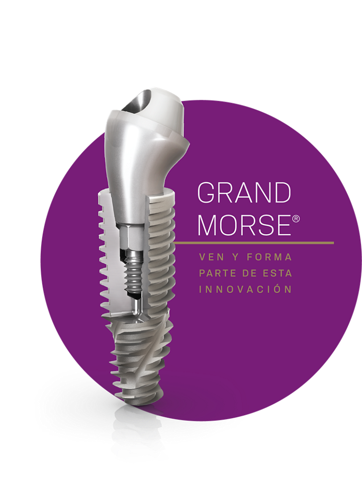 Lanzamiento Grand Morse