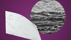 Bem-vindo à Neodent